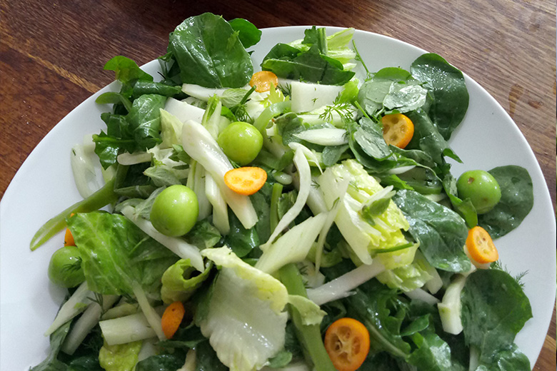 2eat.co.il -תפריט טעימות במסעדת דולב במושב צורית